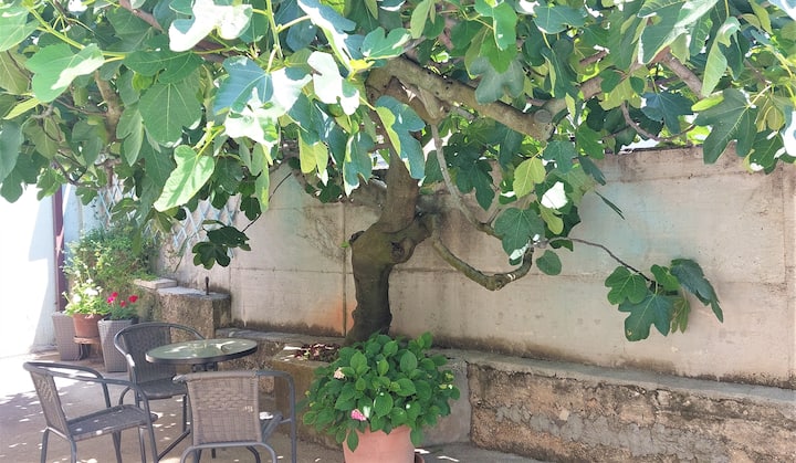 Paliska House With Apartments  / Paliska 3 - Umag