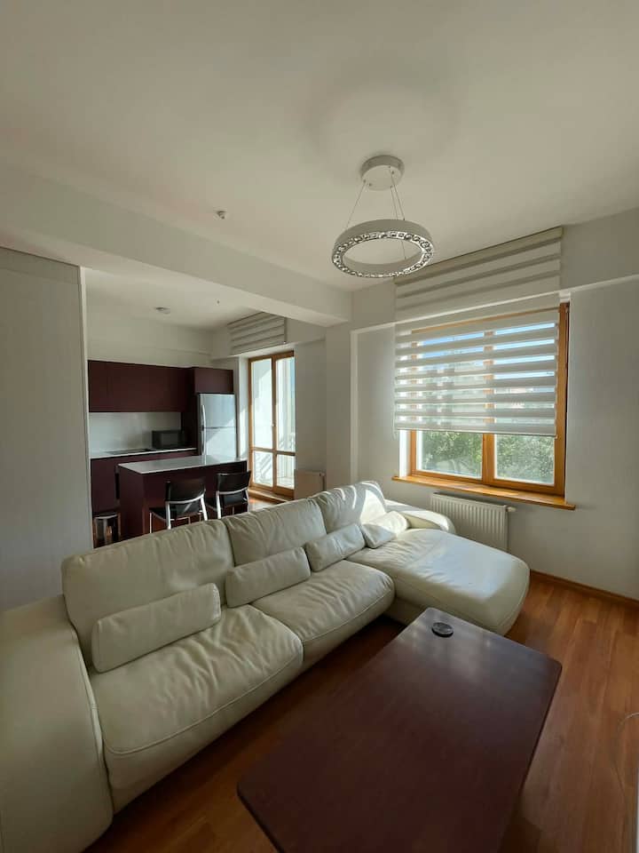 2 Bedrooms Condo Near Sukhbaatar Square - 울란바토르