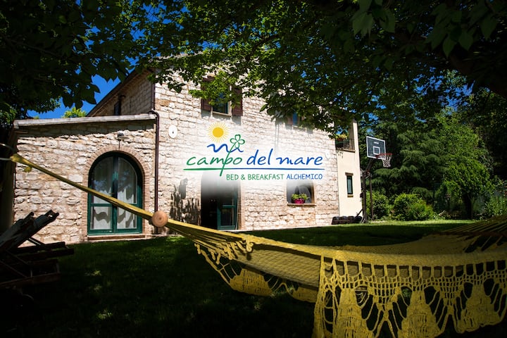 B&b Campo Del Mare - Camera Erbolario - Numana