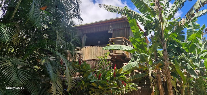 Chalé Das ÁRvores - Ilhabela