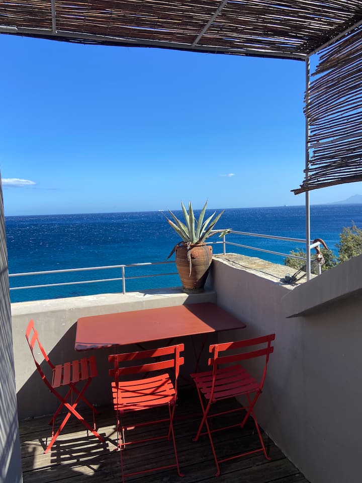 "Les Pieds Dans L'eau" à Erbalunga Duplex-terrasse - Brando