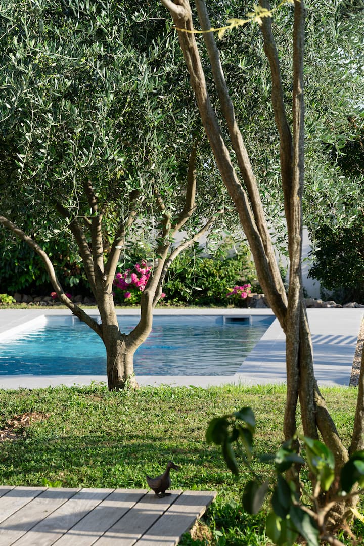 Superbe Maison Avec Vue Exceptionnelle Et Piscine - Lyon