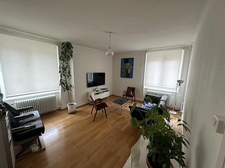 Altbauwohnung Im St. Johann - Basel