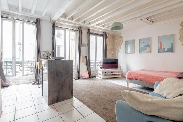 Bel Appartement Au Cœur De Paris - Paris
