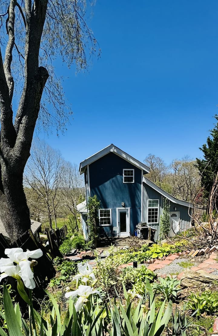 Private Apt, Easy Walk To Town And River Arts - Asheville, NC