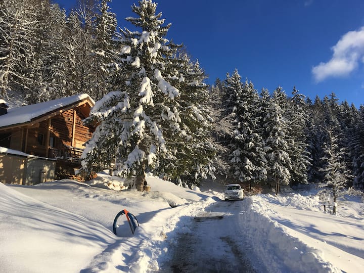 Chalet Cosy Pour Amoureux De Nature - Manigod