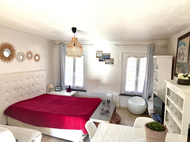 Grand Studio Traversant Au Pied Des Barques - Narbonne