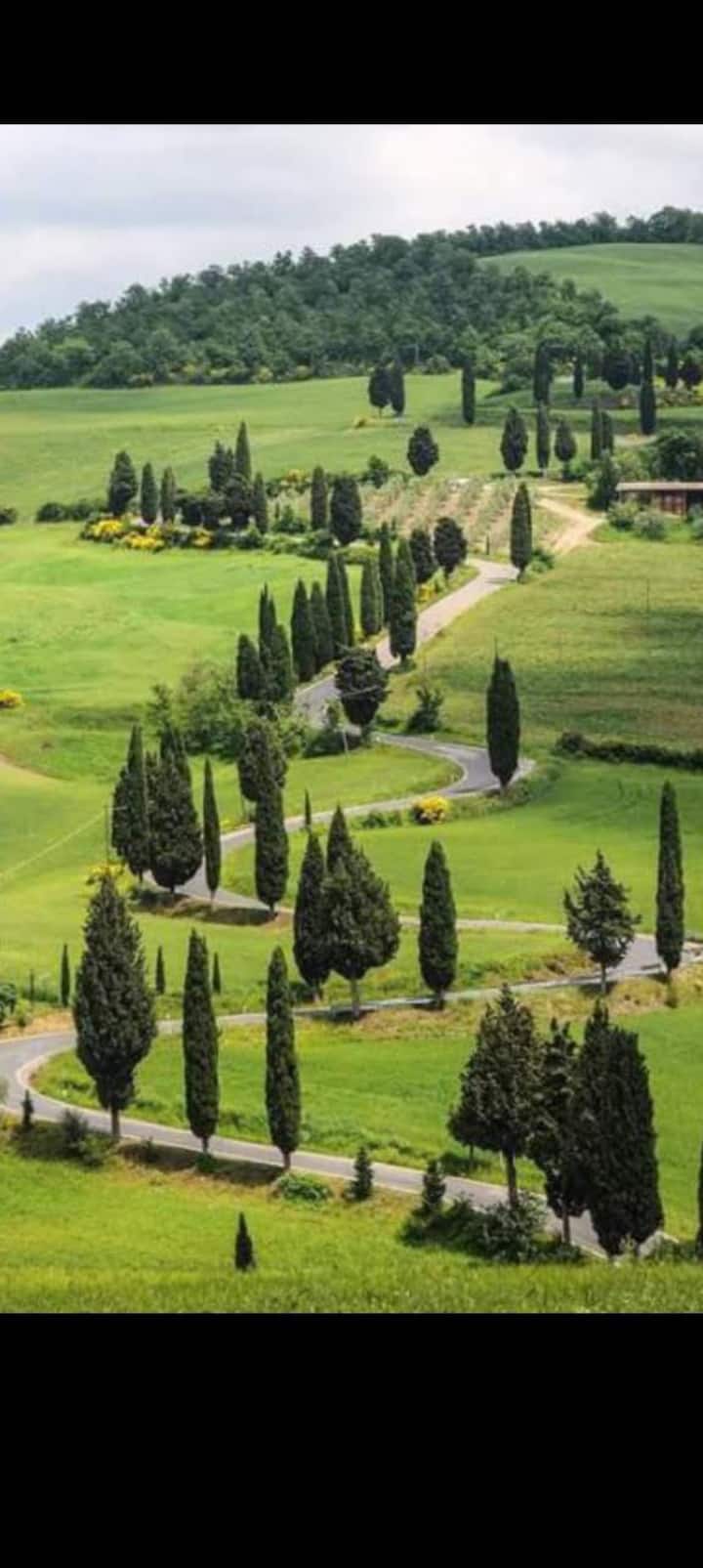 Appartamento Panoramico A Montepulciano - Montepulciano