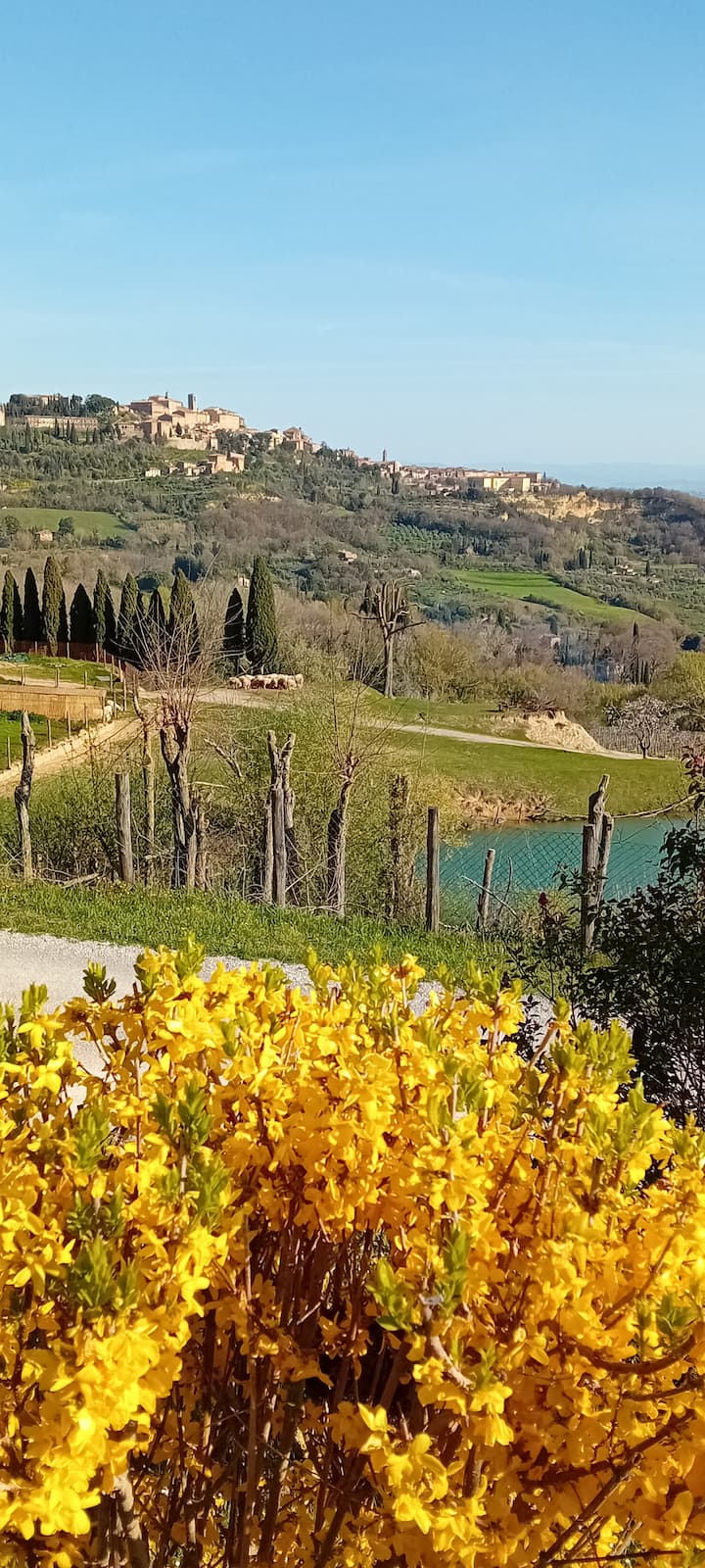 Appartamento  Panoramico A Montepulciano - Pienza
