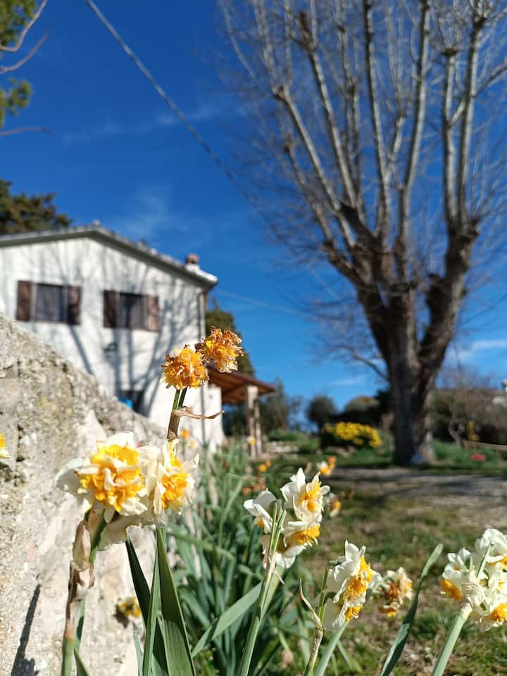 Casale Del Tempo Lento, Orto Uliveto E Fattoria - Narni