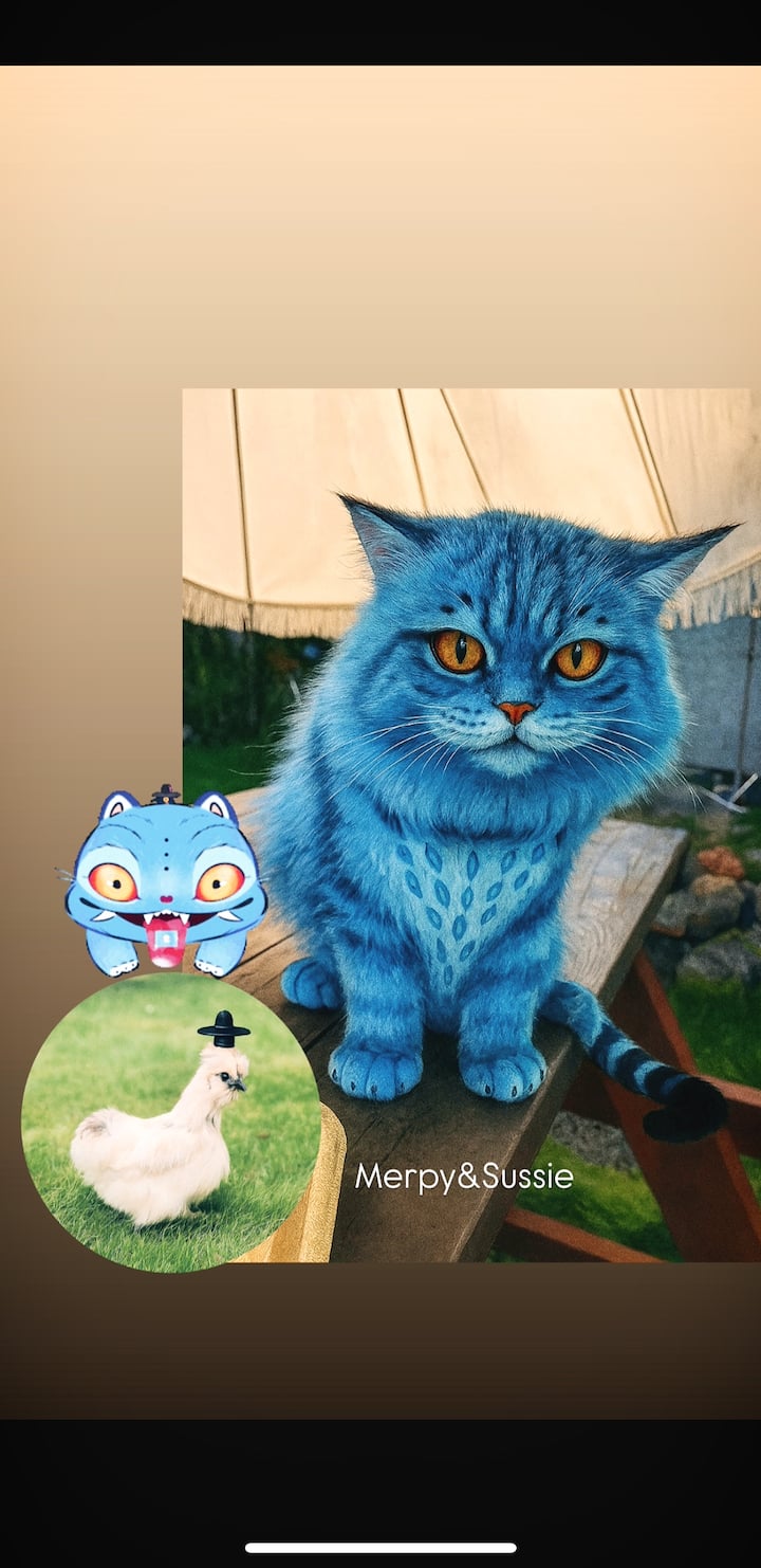 *너만없어 고양이 *Cat Host Sunny‘s Bnb 4bed*3room *불멍화로 - Jeju-si