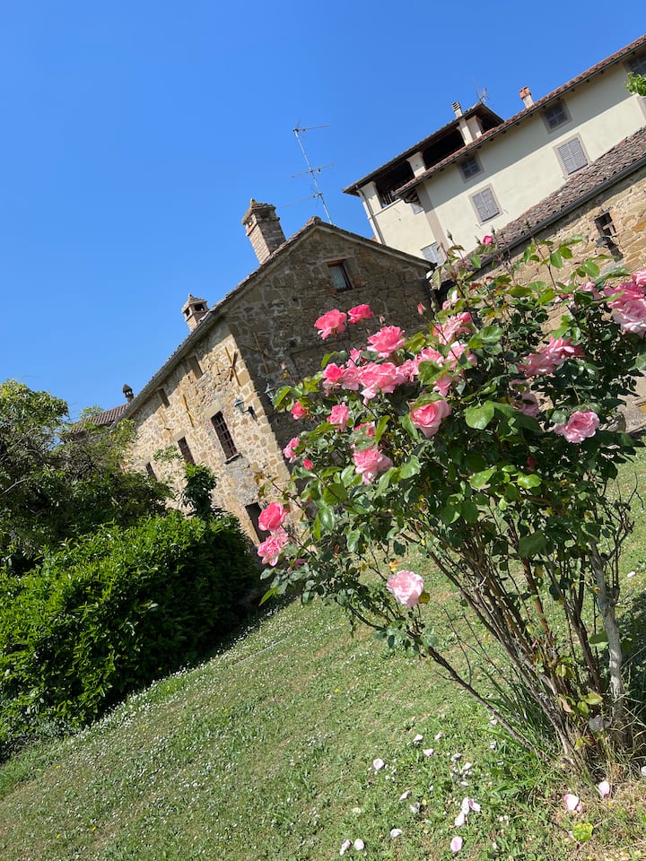 Fortebraccio Cottage  Wi-fi Swimming Pool - Città di Castello