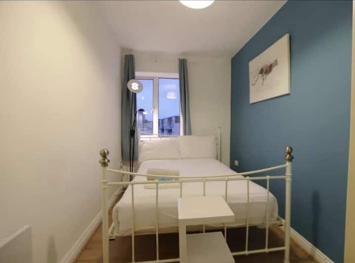 Garden Facing & Central 1 Bed - Dublin, Ireland