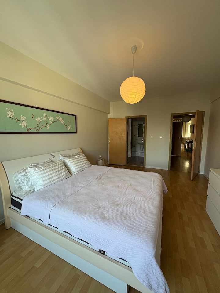 Bright And Spacious Apartment - Mongolia