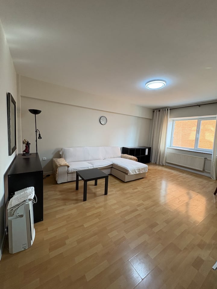 Bright And Spacious Apartment - Mongolia