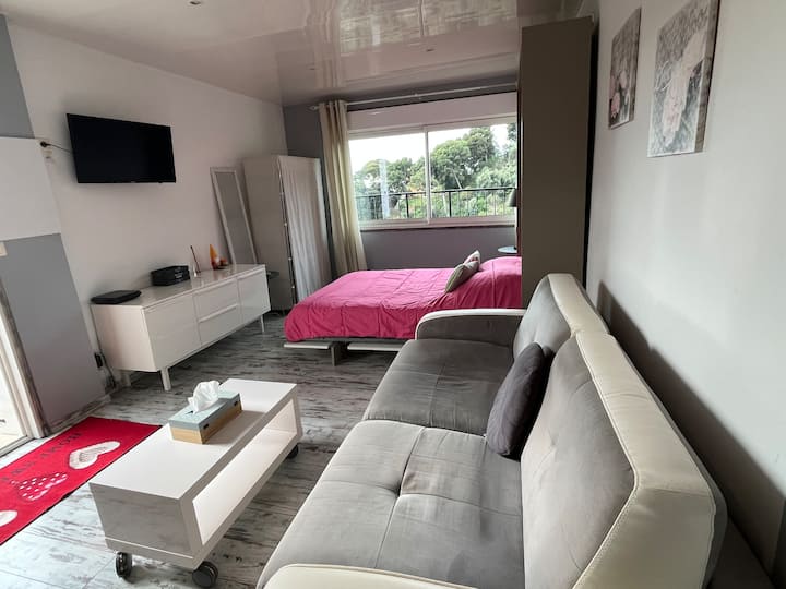 Studio Ensoleillé Avec Terrasse Et Vue Mer - Beaulieu-sur-Mer