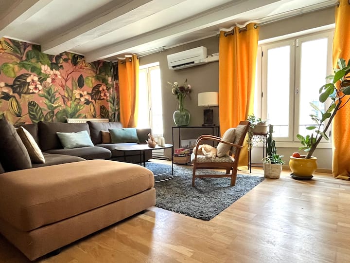 Vaste Maison De  Ville  Gde Terrasse Garage Privé - Béziers