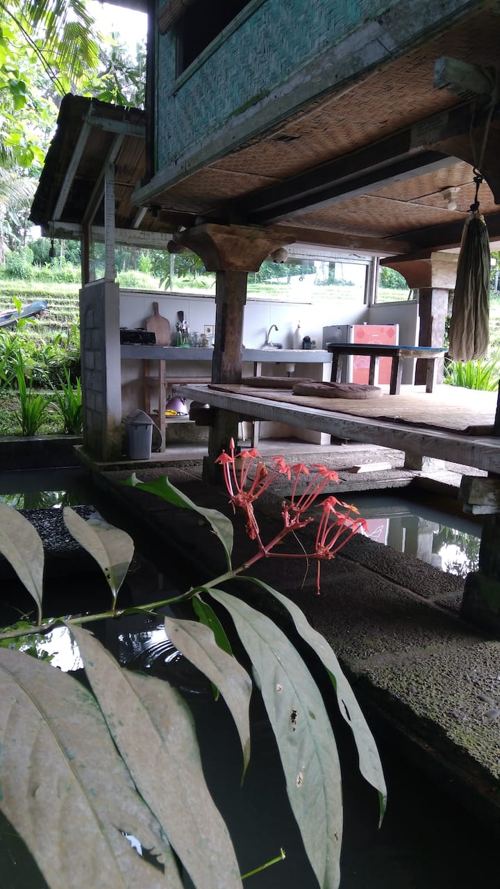 Balian Jungle Surf Accomadation 1 - Bali