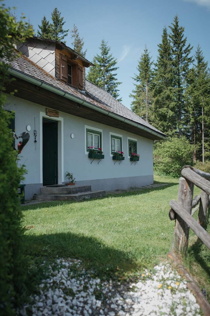 Brandner Hütte - Murtal, Steiermark - Spielberg