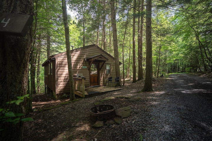 Secluded Cabin Near National Park With Hot Tub - Fayetteville, WV