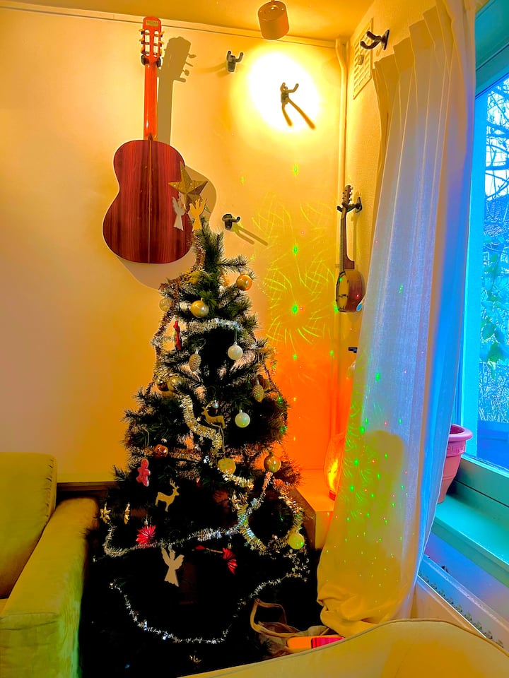 Family House W/garden And Cat – 10 Min To Centrum - Diemen