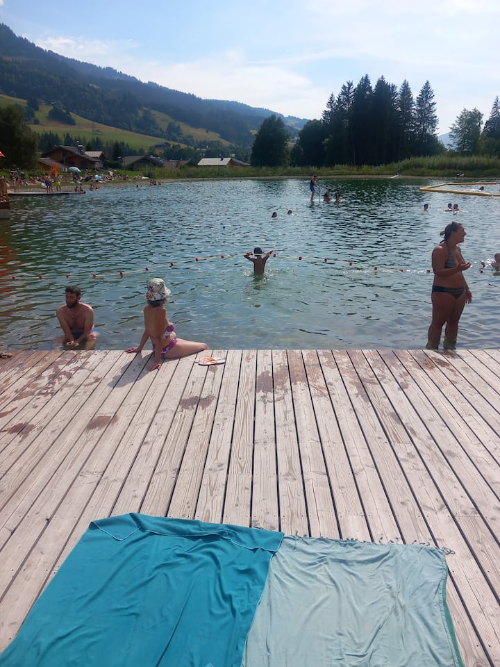 Praz-sur-arly Appartement Cosy ( 5 Min Megève ) - Praz-sur-Arly