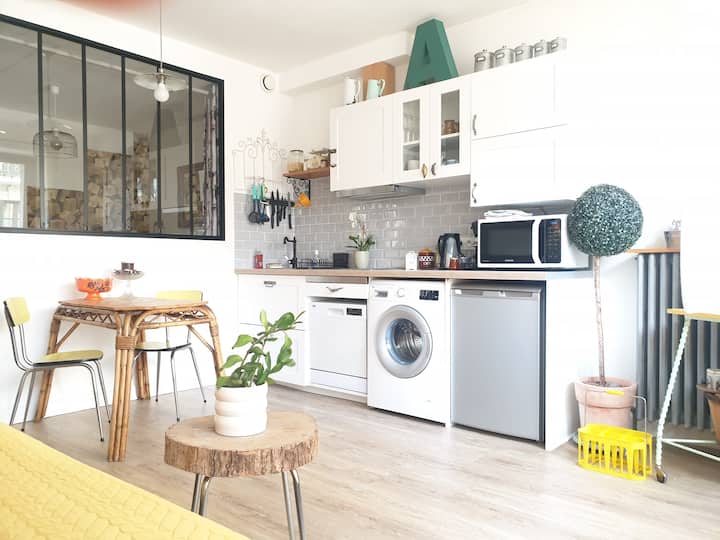 Jolie Meublé De Tourisme 3 En Plein Cœur De Ville! - Annecy