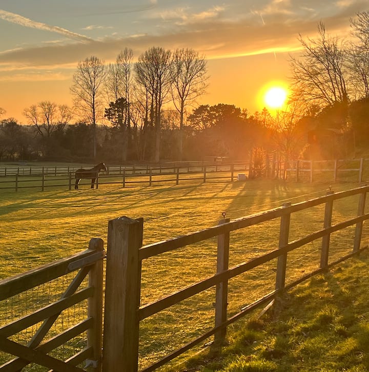 New Forest Hut-views-nature-direct Forest Access - Ringwood