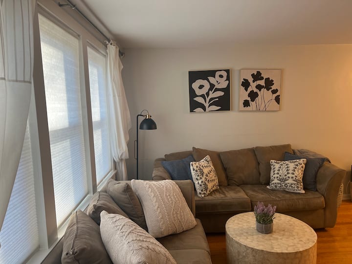 Bucktown Retreat - Why The Buck Not? Sleeps 1-6 - Edgewater Beach - Chicago