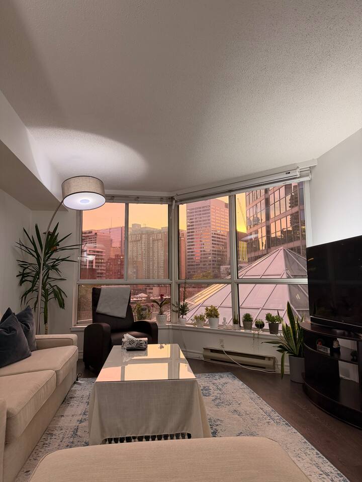 Prime Location Entire 1 Bedroom Condo - Toronto