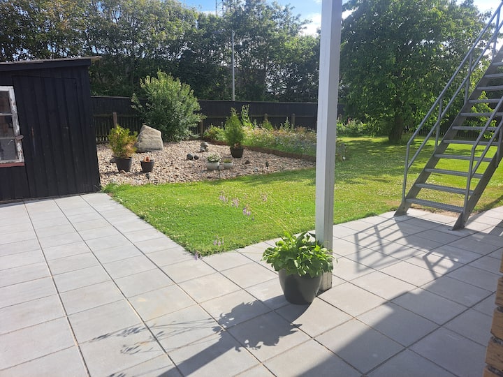 Udsigt Til Kirsebærtræ - Skagen