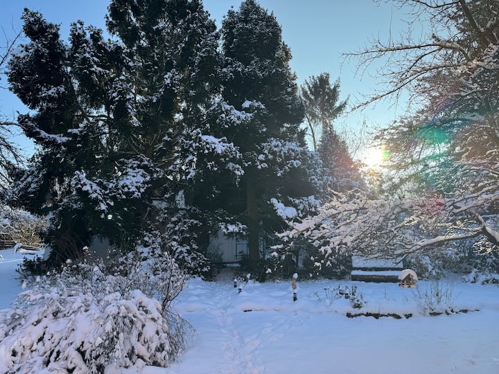 Gemütliches Künstlerhäuschen - Berlin