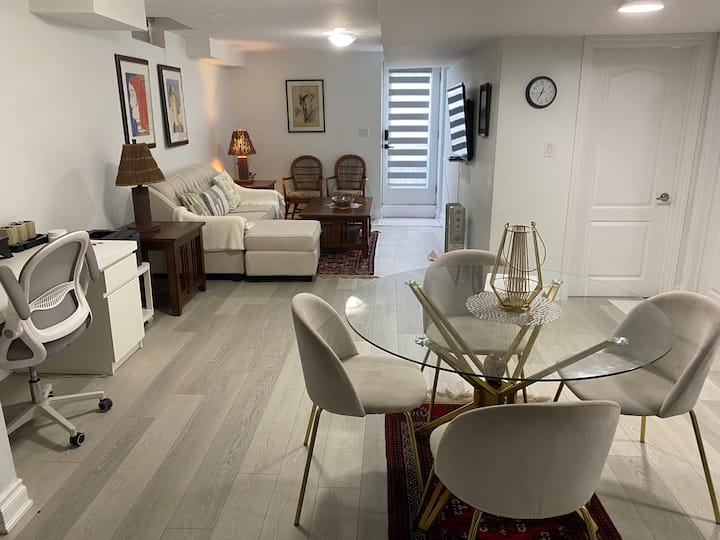 Luxury Basement Condo - Mississauga
