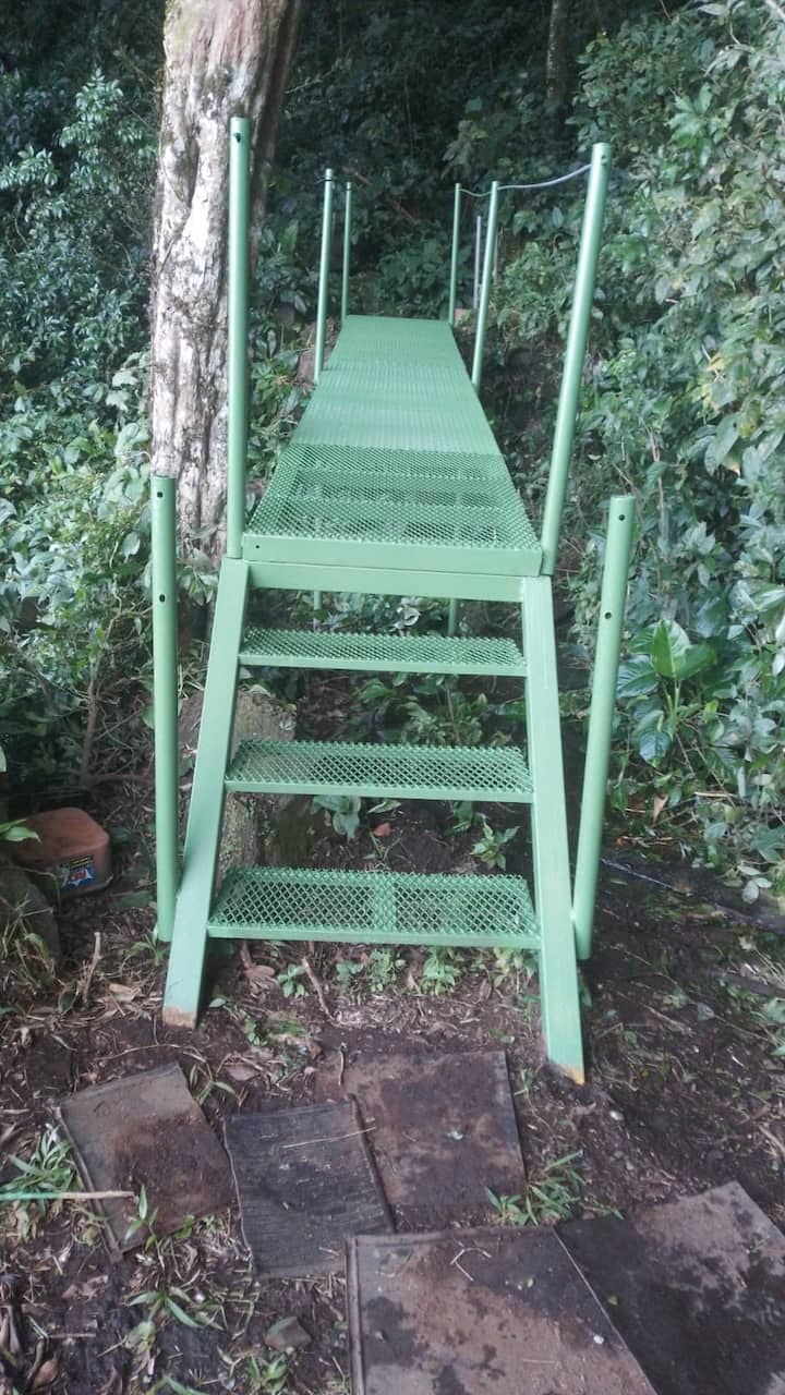 Unique Jungle Stay With Treehouse Plus Tico Home. - Bagaces