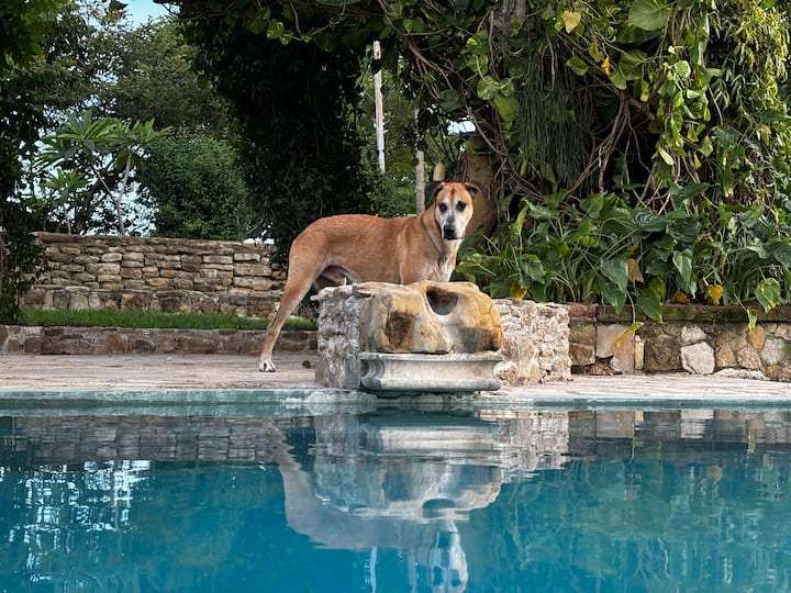 Mirador Pectak - Chiapas