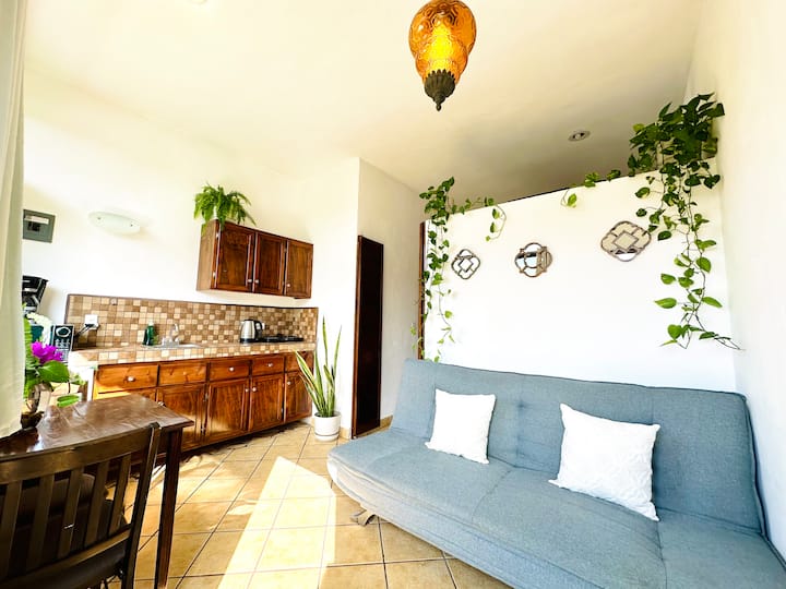 Downtown Tropical Oasis – 5 Min Walk To The Marina - Cabo San Lucas