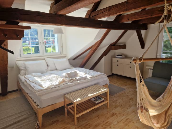 Lovely Attic Flat In St. Georgen, St. Gallen - Saint-Gall