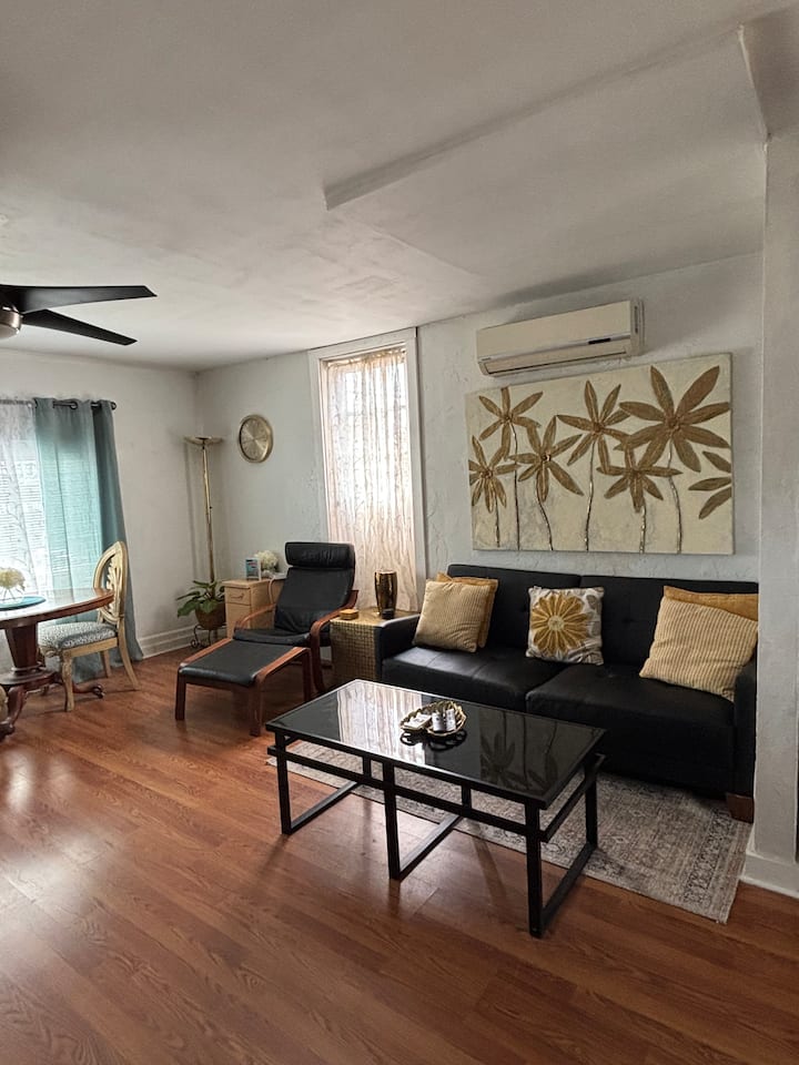 Studio Apt. In The Heights - Acres Homes - Houston