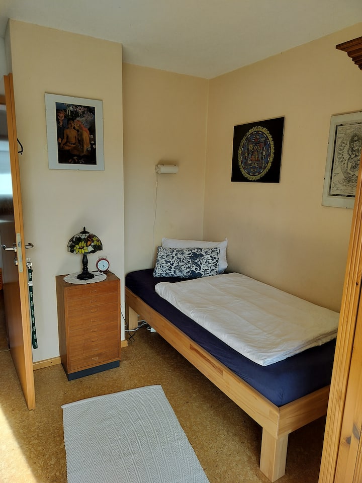 Ruhiges Zimmer Am Innradweg - Rosenheim