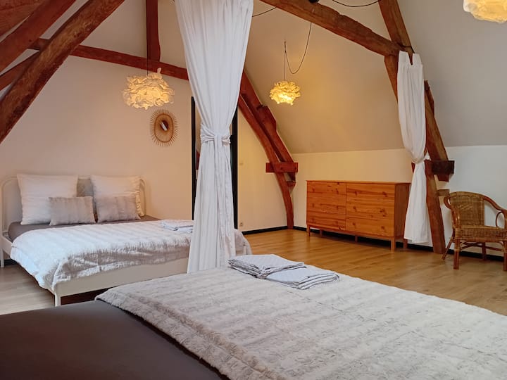 Le Big Family - Mont De La Louve - Wimereux