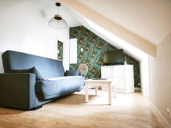 T2 Lumineux, à 100m Du Port Avec Place De Parking - Cancale