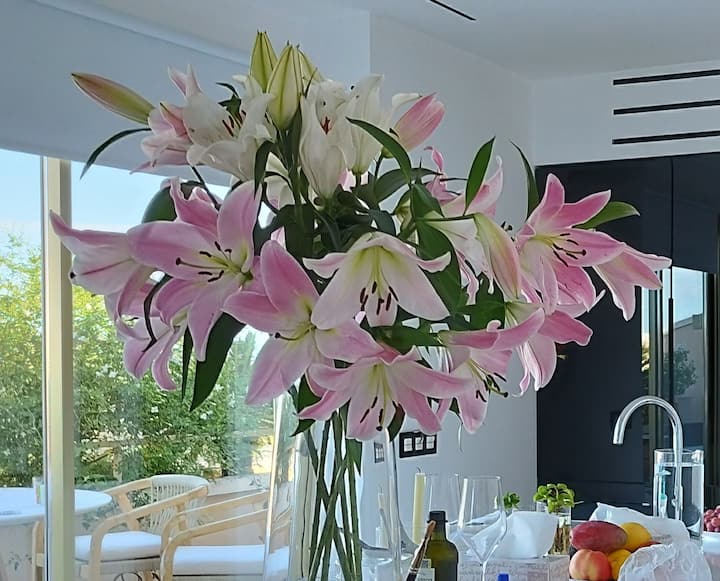 Penthouse In Palma Close To Portitxol - Majorca