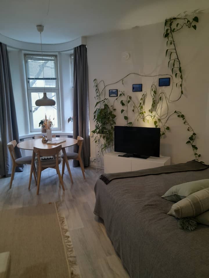 36m2 With Sauna In The Very City - Helsinki