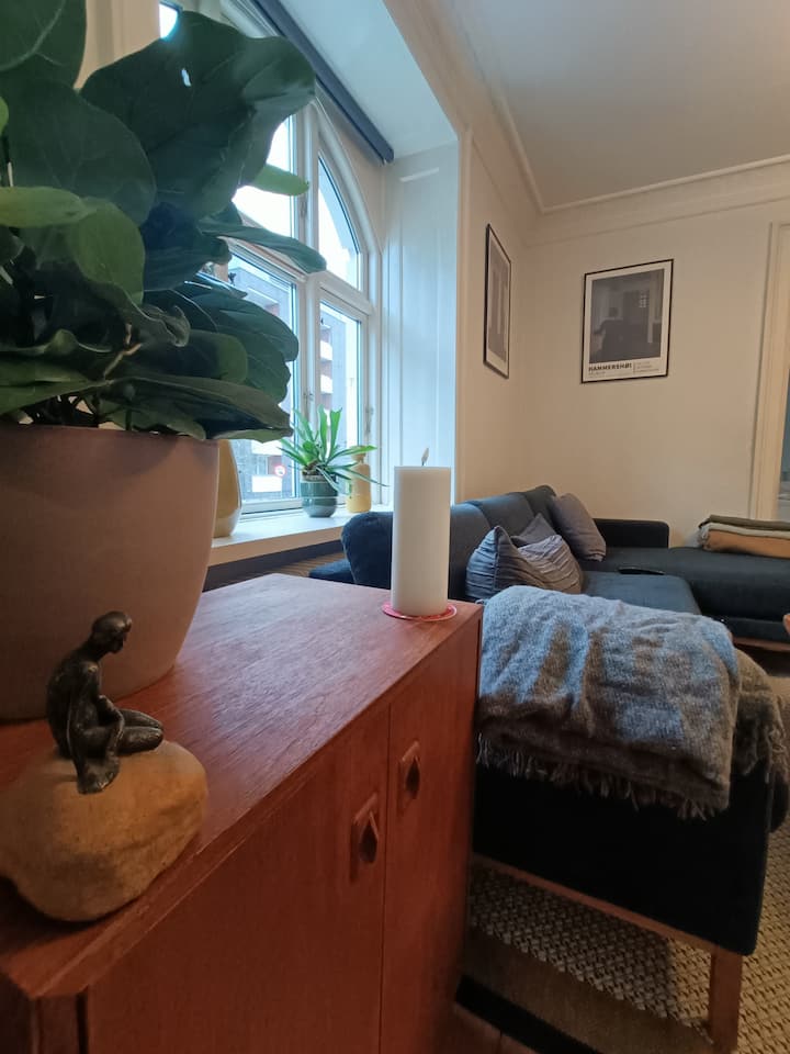 Perfectly Located Apartment In Central Copenhagen - Copenhagen