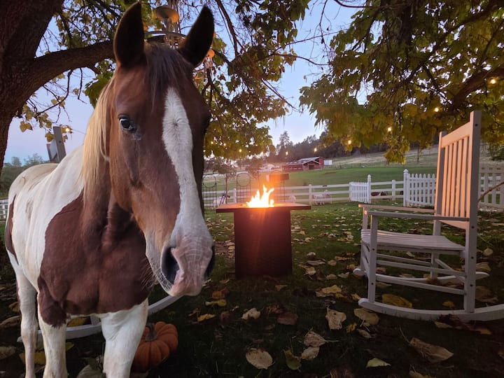Artemis Ranch Farm W/horses, Donkeys Gold Country - Californie