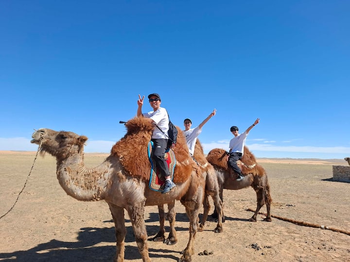 Nomad Family Stays_gobi Tours - Mongolia