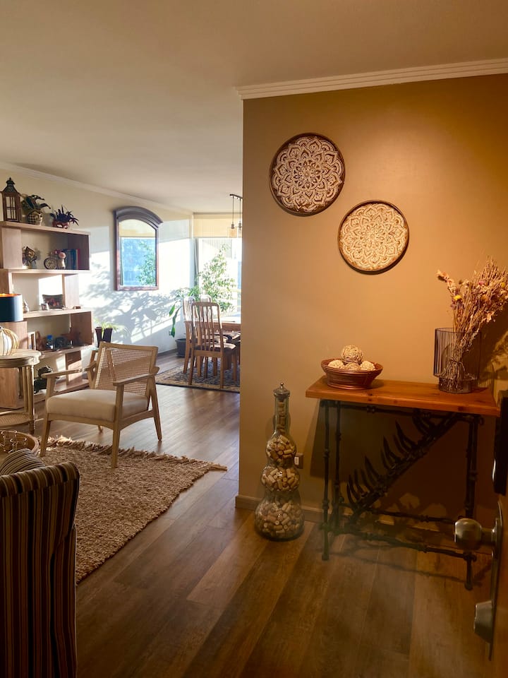 Habitación Con Escritorio En Providencia - Providencia