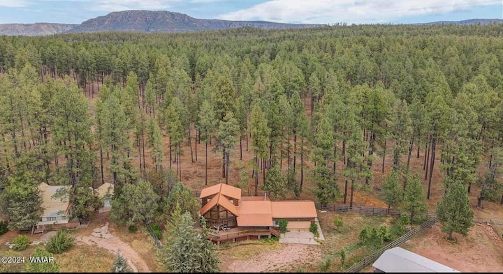 Tonto Village Cabin. Near Payson, Arizona. Usa. - Knoll Lake, Arizona