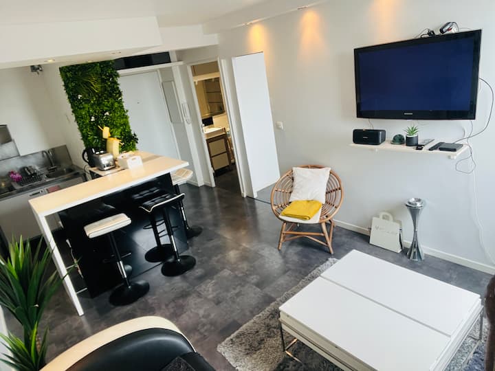 Charmant T2 Rennes Gare Parking Privé ! - Rennes