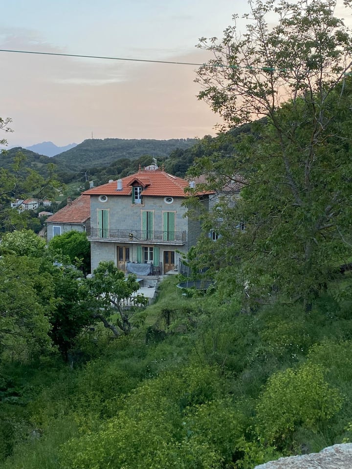 Maison De Maître Corse Proche Mer Et Montagne... - Olmeto